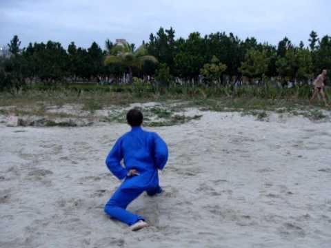 #Первая форма стиля #Шень 3-й и 4-й дуани (Тайцзи)