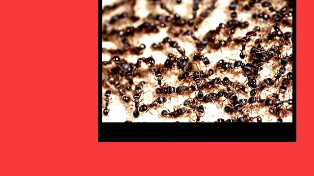 КУЛЬТУРА ДРЕВНЕЙ ГРЕЦИИ. ЗАГРОБНЫЙ МИР: ГЕОГРАФИЯ И ОБИТАТЕЛИ. Лекции по культурологии