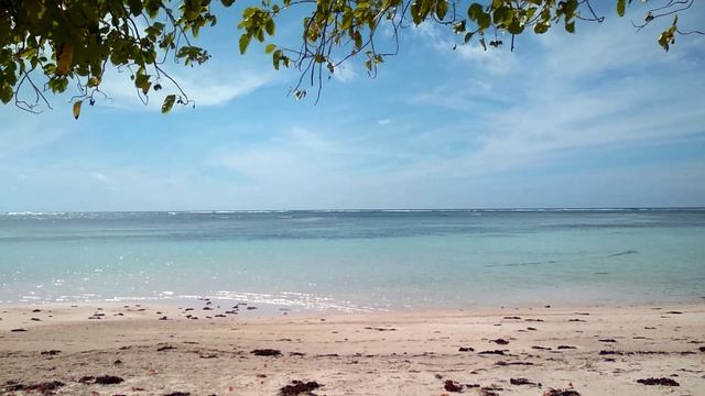 Сейшелы,Восточное побережье-пляжи!Прозрачная вода!