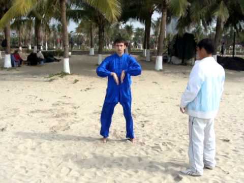 #Первая форма стиля Шень - контроль мастером #Шень Чжи 2