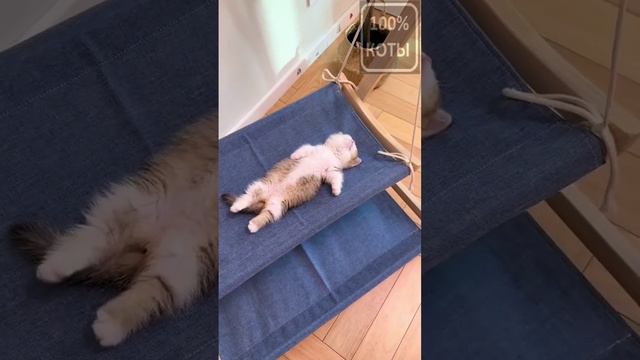 Вы как хотите. Я спать..