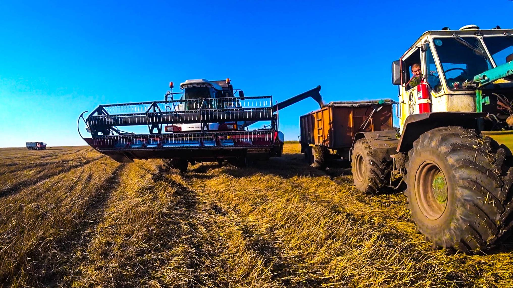 Заехал по пути к соседям. Два Вектора 410 на уборке пшеницы.