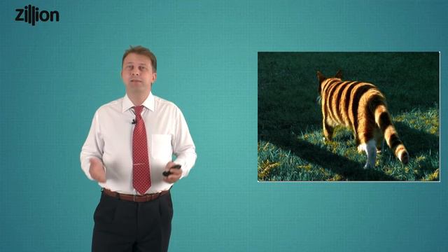 Лучший тренинг по продажам - Продажи: Школа Тигра - 2015 (Часть 2)