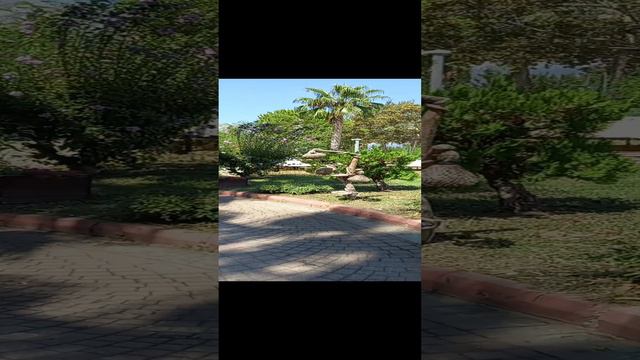 ❗Гуляем по набережной Кемера❗ #shorts #short #shortsvideo #nature #природа #море #отдых #турция