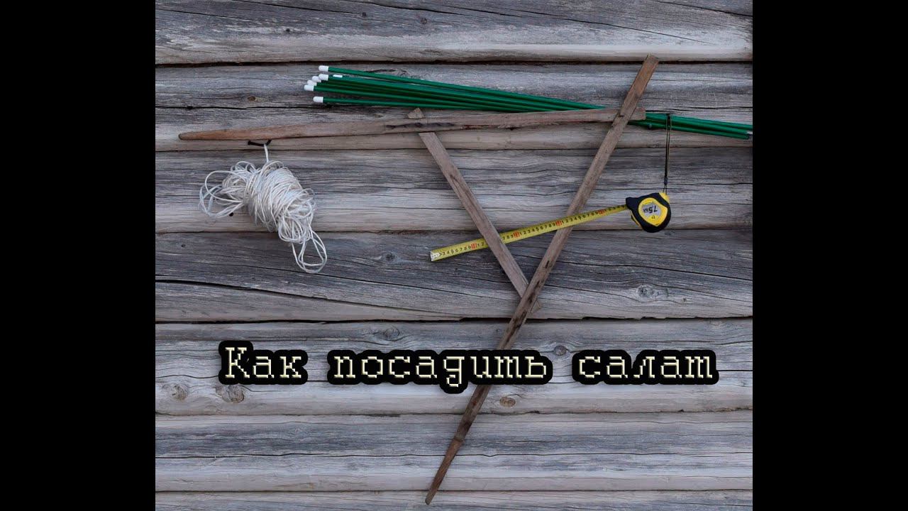 Как посадить салат