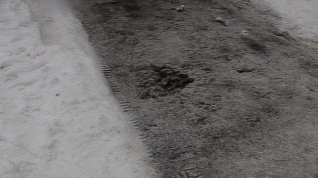 Машины-подснежники//13.03.2008г.