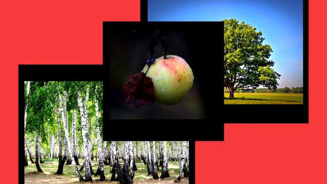 КУЛЬТУРА ДРЕВНИХ СЛАВЯН. Лекции по культурологии