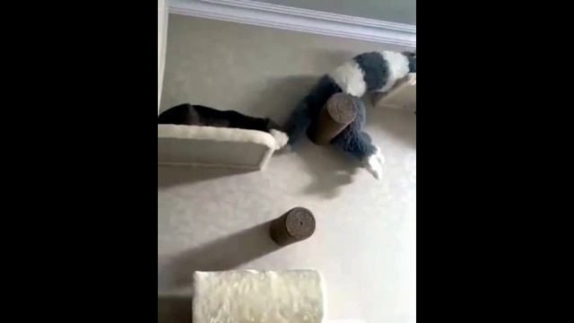 Трудности которые мы любим создавать