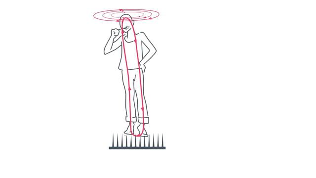 Схема электрических витаминов лежаке доктора redox