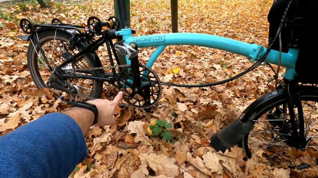 2 октября 2023 г.