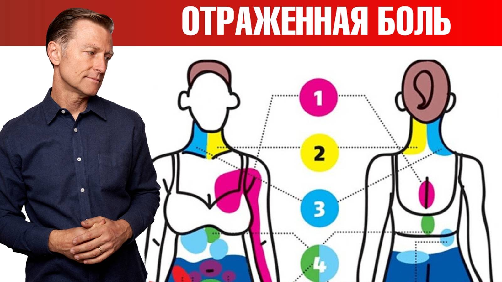 Отраженная боль 👉 что болит на самом деле?
