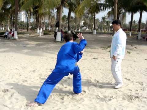 #Первая форма стиля Шень - контроль мастером #Шень Чжи 1