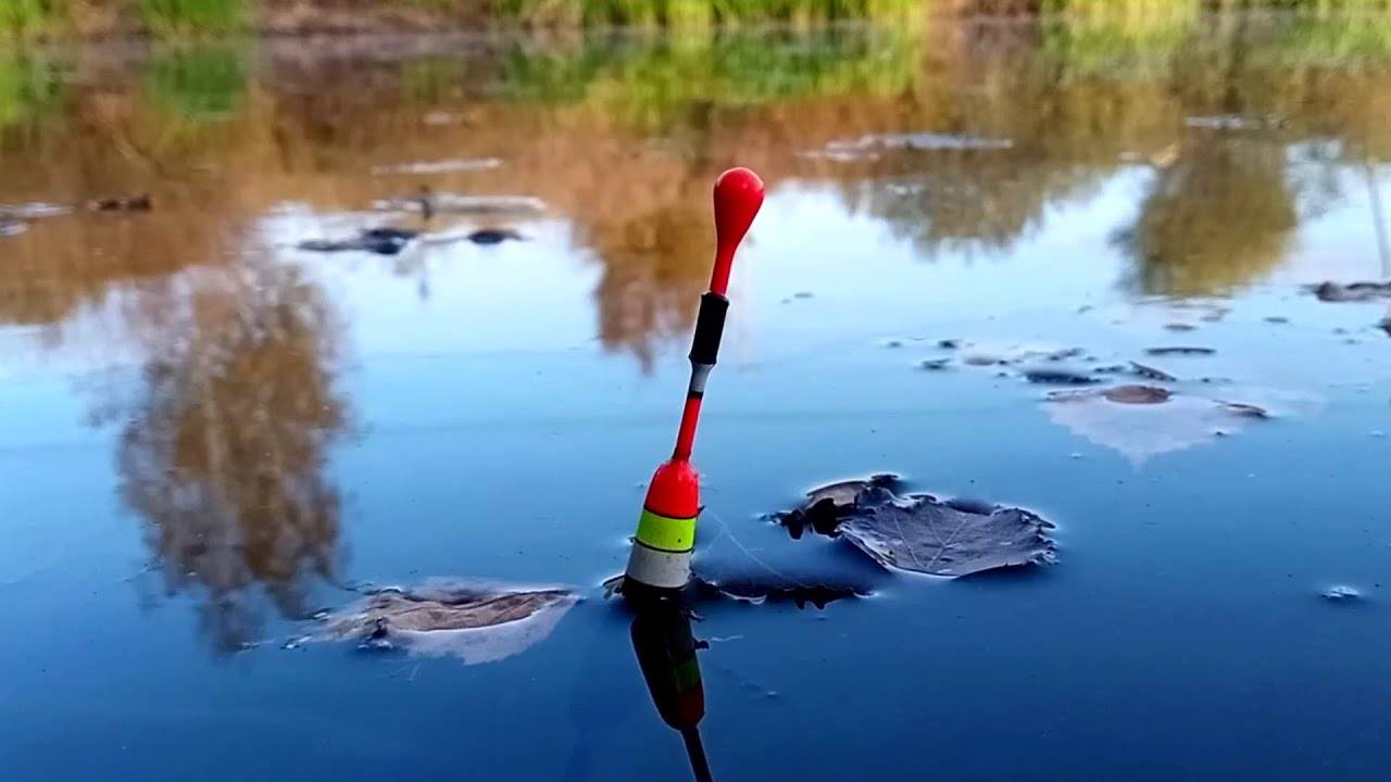 Поплавочная рыбалка на форель в Запрудном