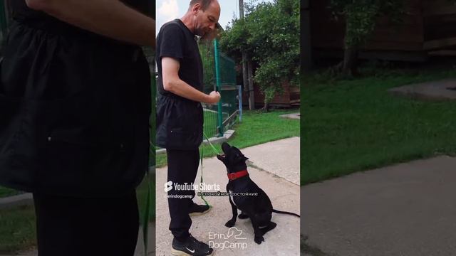 Упражнение «Антипрыжки»