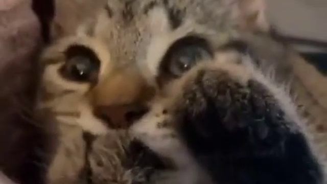 Когда боишься переключить  фильм ужасов