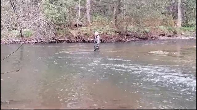 Рыбалка на горной реке осень 2024г. #рыбалка #хариус #ленок #горнаярыбалка #горнаярека