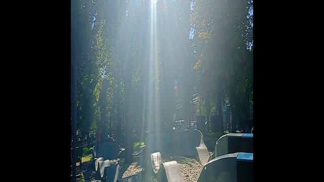 Велик на проверке