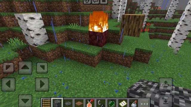SVID_20240926_130127_1.mp4