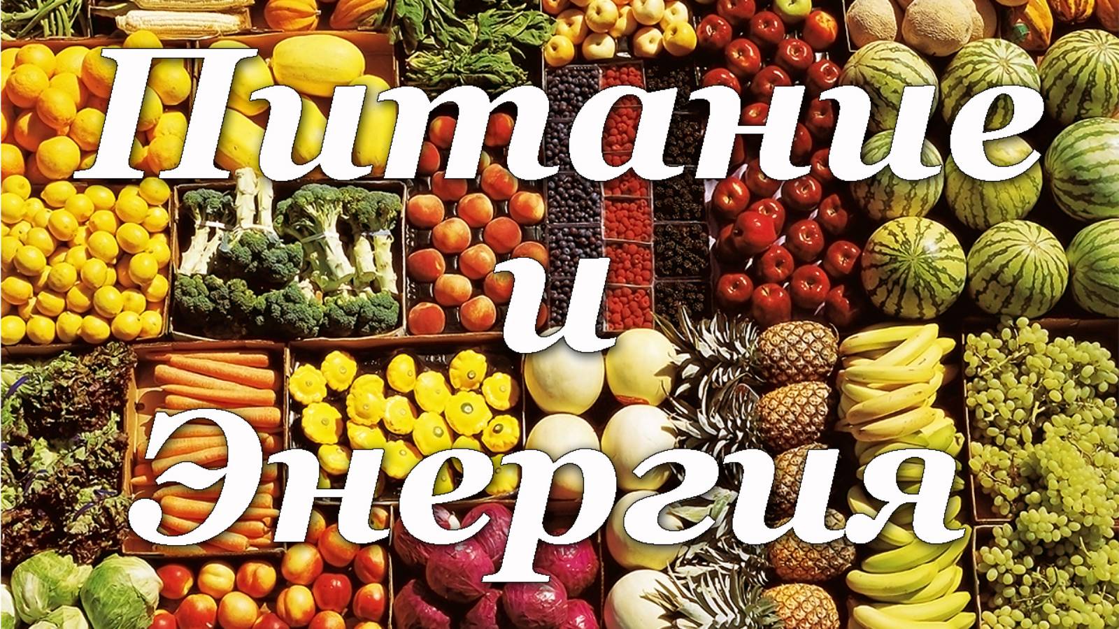 Питание и энергия#сезонконтента RUTUBE