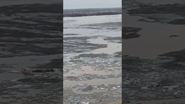 #ледоход  15.04.2024г.Хабаровск.