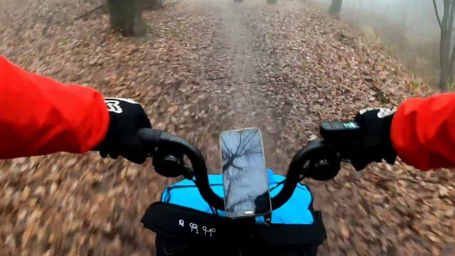 2 копейки про Brompton