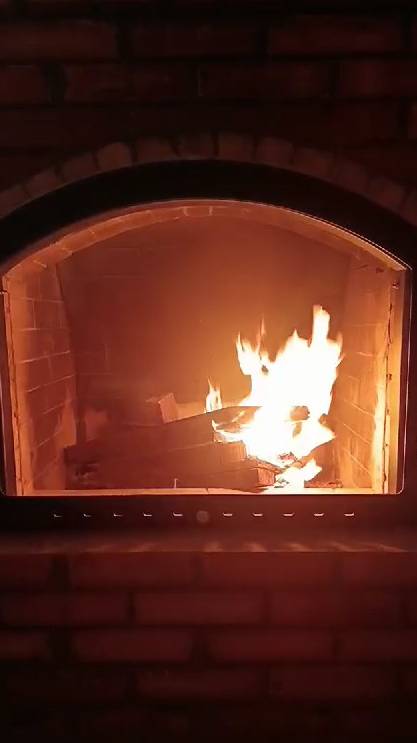 Наши работы: заказная каминная дверца. Монтаж покупателя.