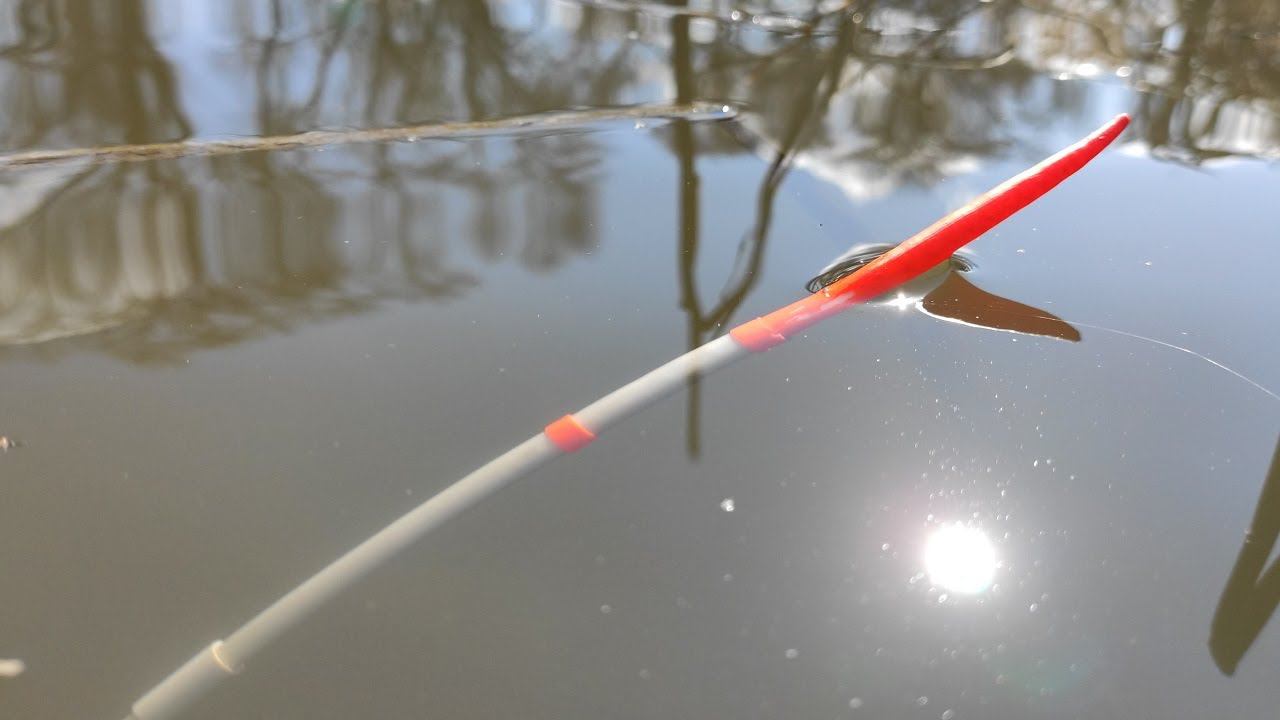 БЕШЕНЫЙ ЖОР НА ПОПЛАВОК!!! Рыбалка на  карася весной