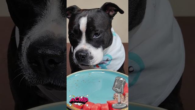 АСМР Куриные желудочки с арбузом! 👂 #асмр #мукбанг #стаффбуль #еда #курица #желудочки #арбуз