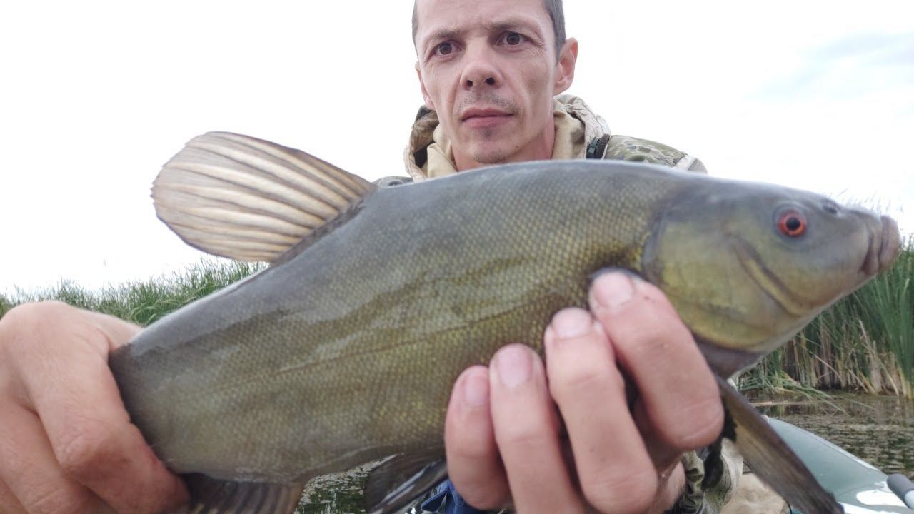 РЫБА ТУТ ЛОМАЕТ КРЮЧКИ - РЫБАЛКА НА ПОПЛАВОК НА ЗАРОСШЕМ ПРУДУ