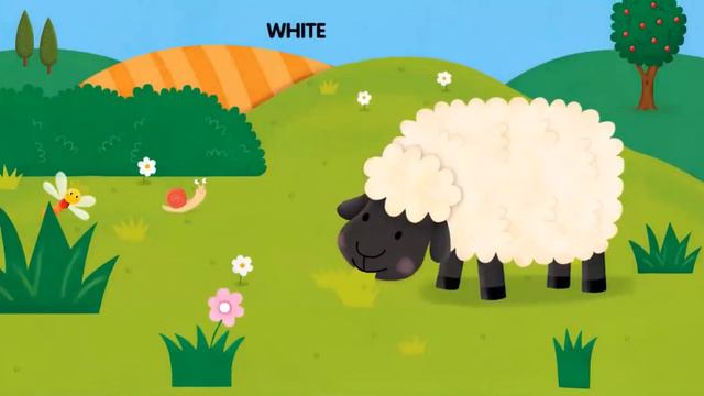 Animals on a Farm