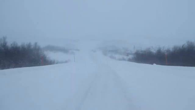 Белоснежная Тундра. Дорога 2012