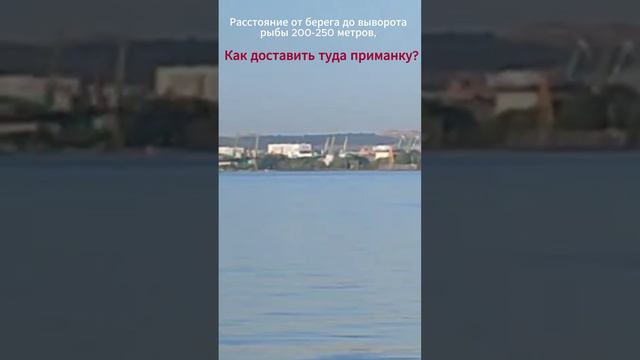 Выворот кефали