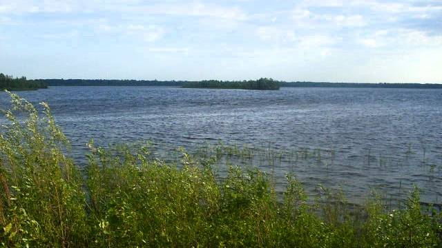 Природа родного края