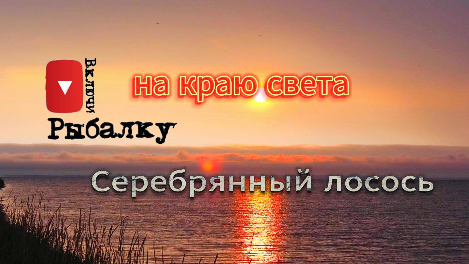 Серебрянный лосось