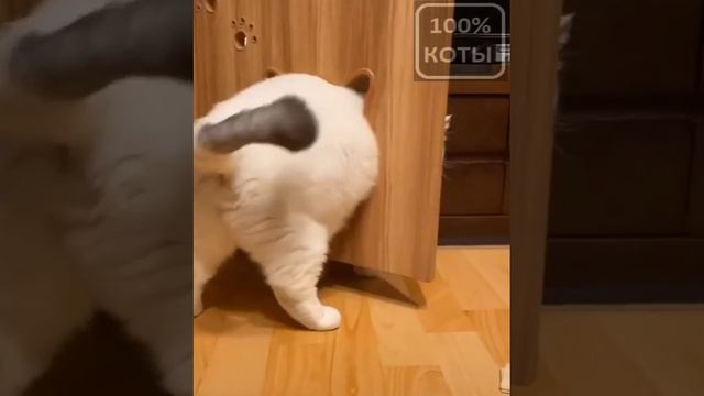 Винни-пух уже не тот)