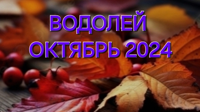 ВОДОЛЕЙ ОКТЯБРЬ 2024 ТАРО