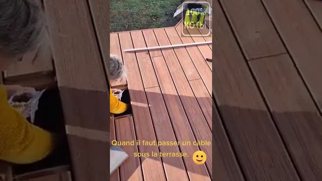 Кот электрик прокладывает кабеля