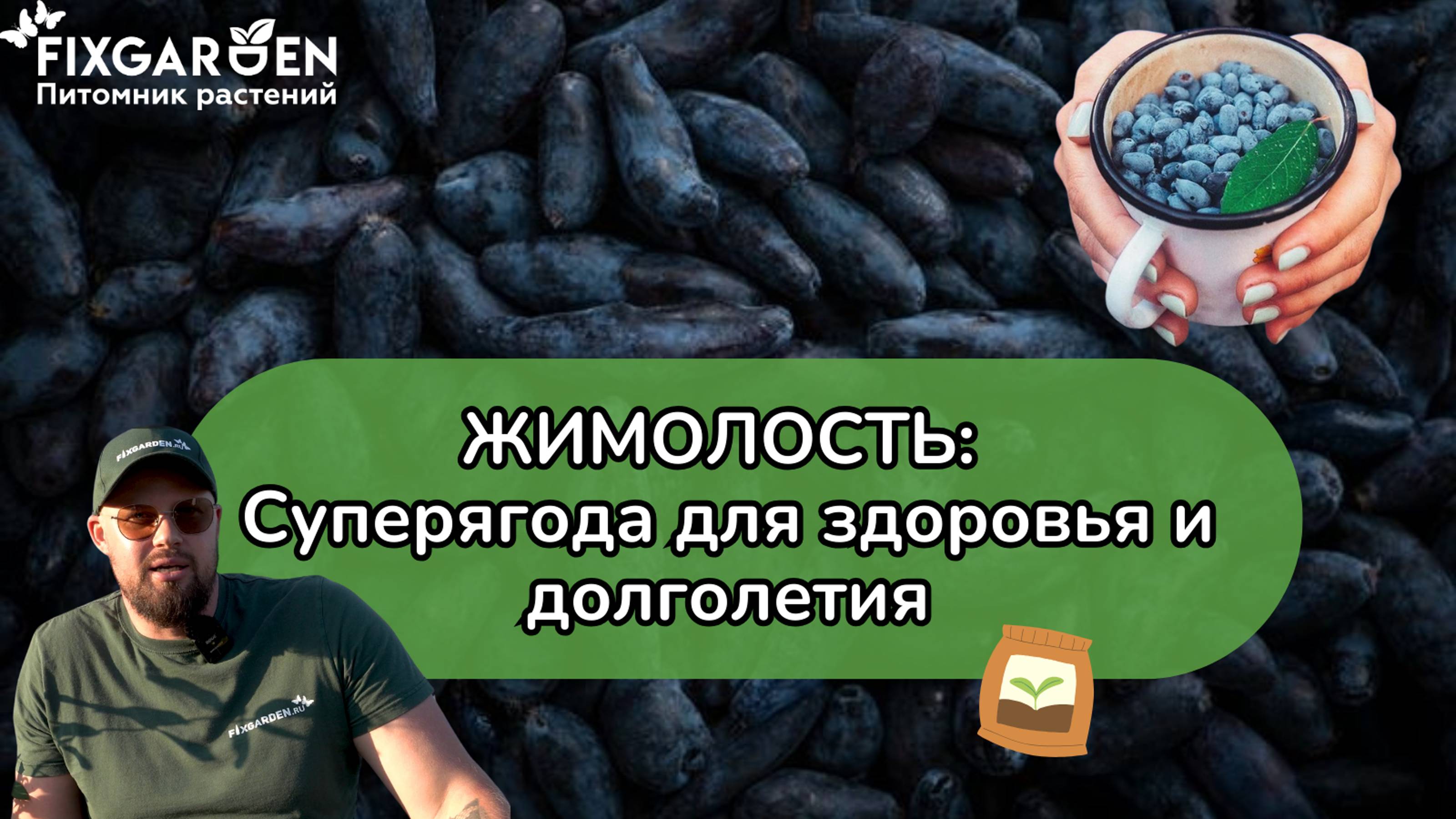 Жимолость: Супер ягода для здоровья и долголетия