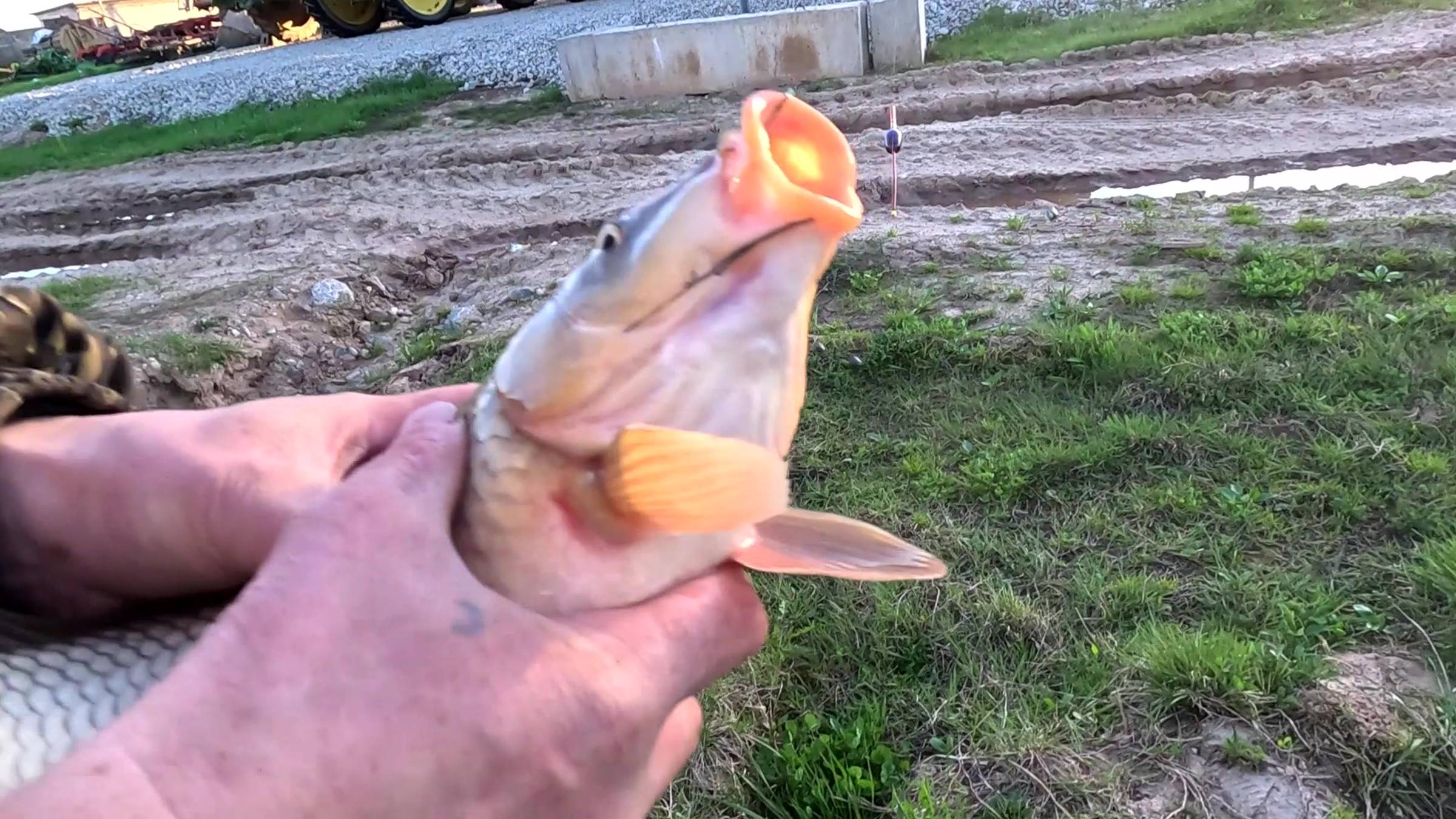 КАРП на поплавок. Ловля карпа на удочку.