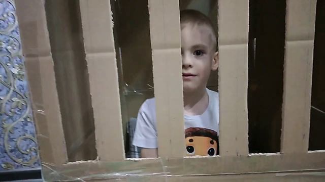 24 ЧАСА В КАРТОННОЙ ТЮРЬМЕ