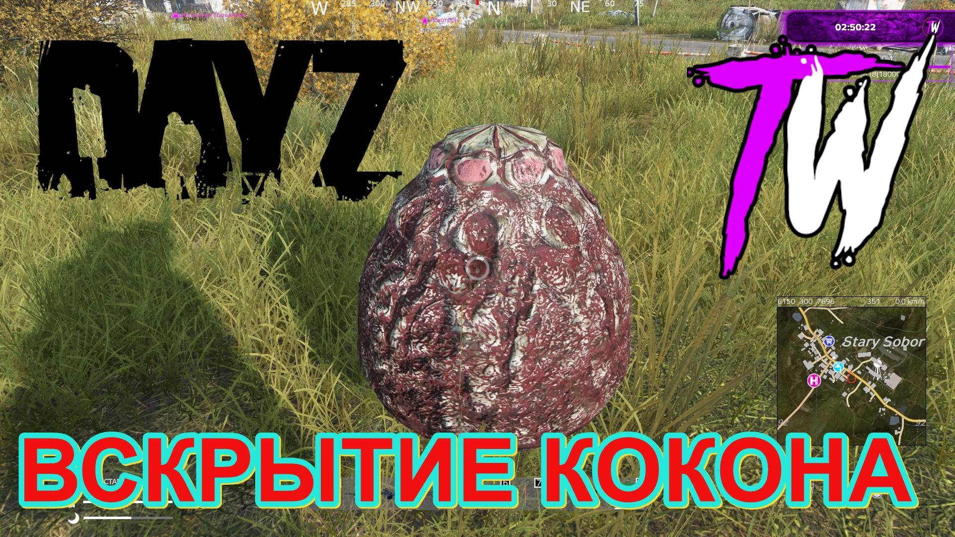 DayZ TWINKLE Play. Вскрытие кокона.