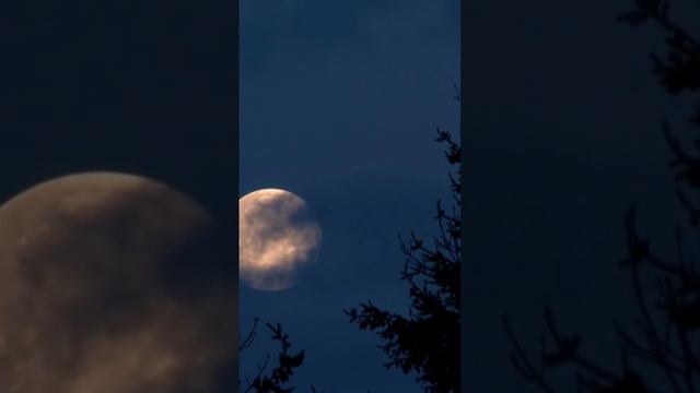 Я на РЕН-ТВ #рентв #янарентв #рен #экспертрентв #эфир #эксперт #тв #ren #shots #rentv #культуролог