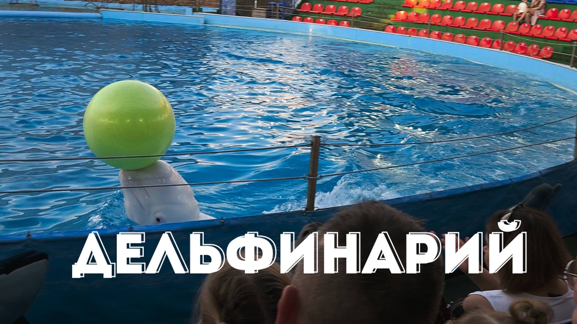 Саша&amp;Настя