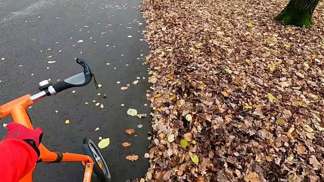 Strida. Как не упасть в парке