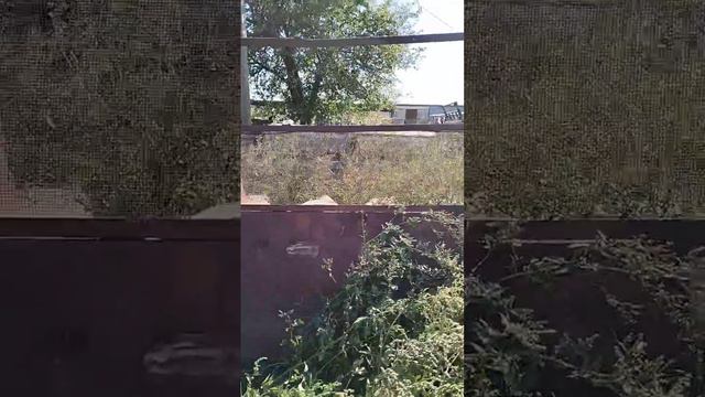 Жатка Ростсельмаш ПСП-10 экспресс-обзор от Аркадия Фомина