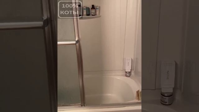 Спасите меня в ванной закрыли !