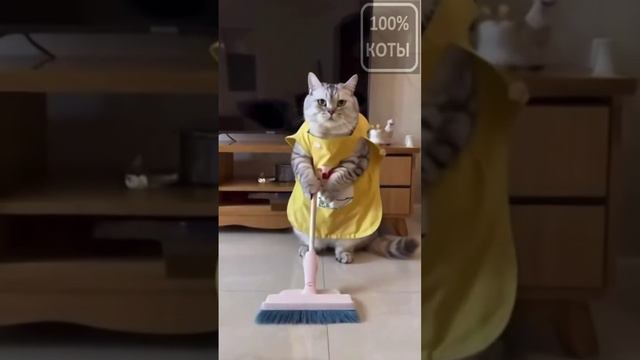 Опять наследили