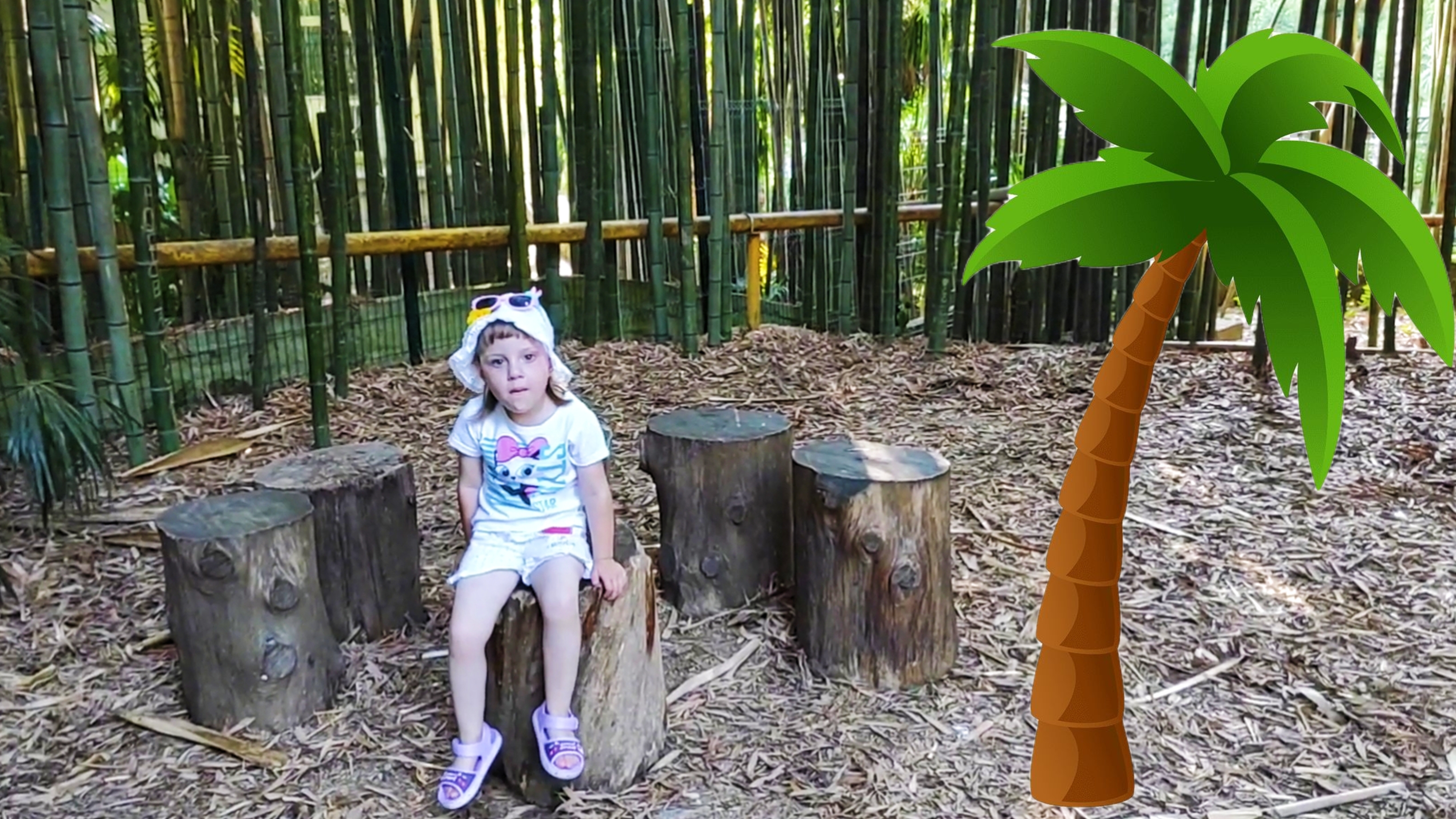 Полина в Сочинском Дендрарии Обзор Дендрария Сочи