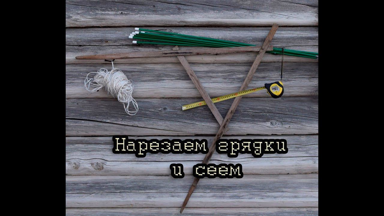 Как посеять укроп, петрушку, морковку