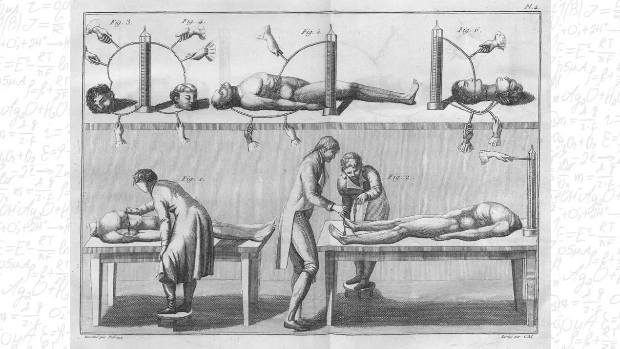 Теоретические и экспериментальные испытания по гальванизму – музей _Электрические витамины_